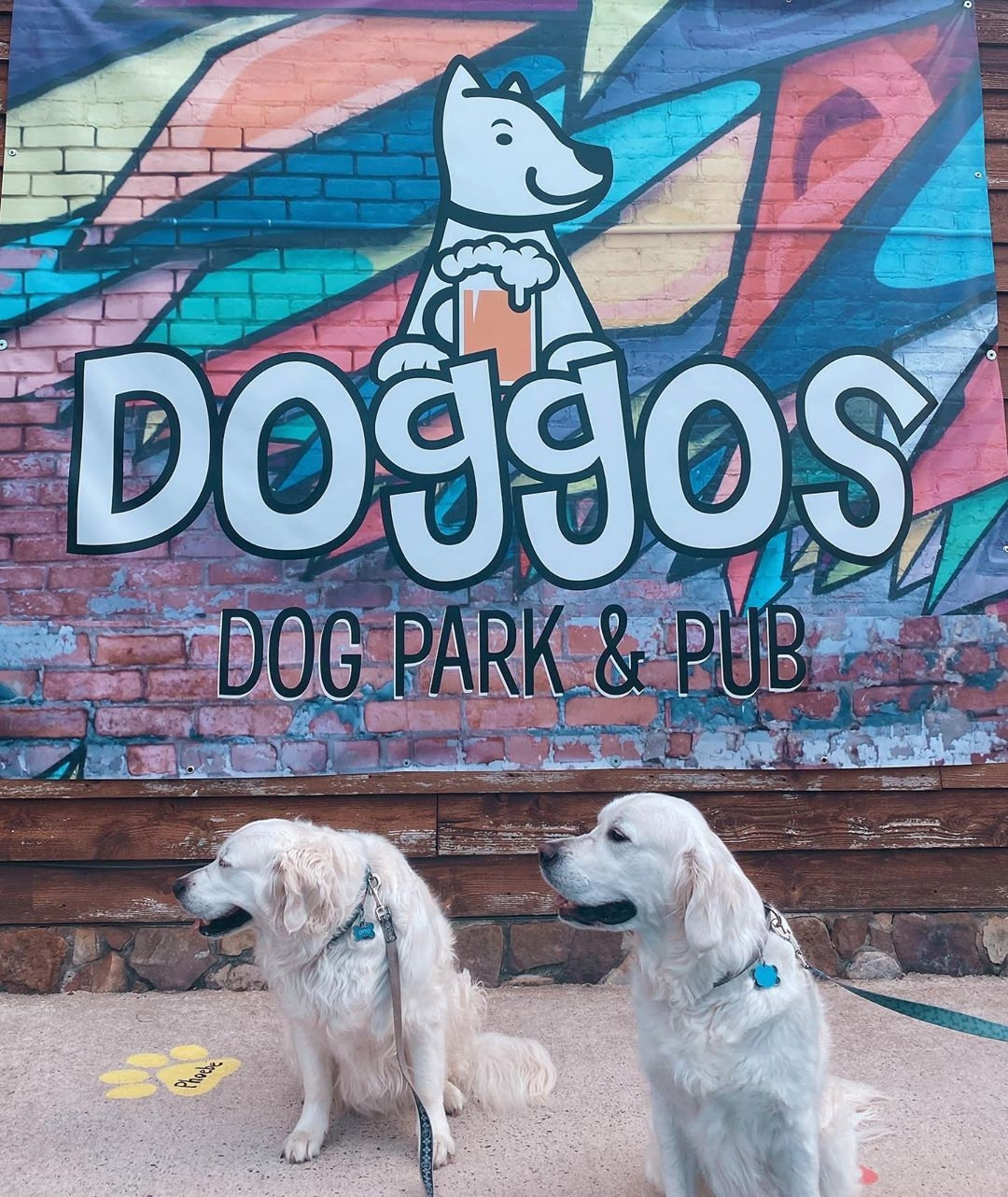 Jobs - Doggos Dog Park and Pub